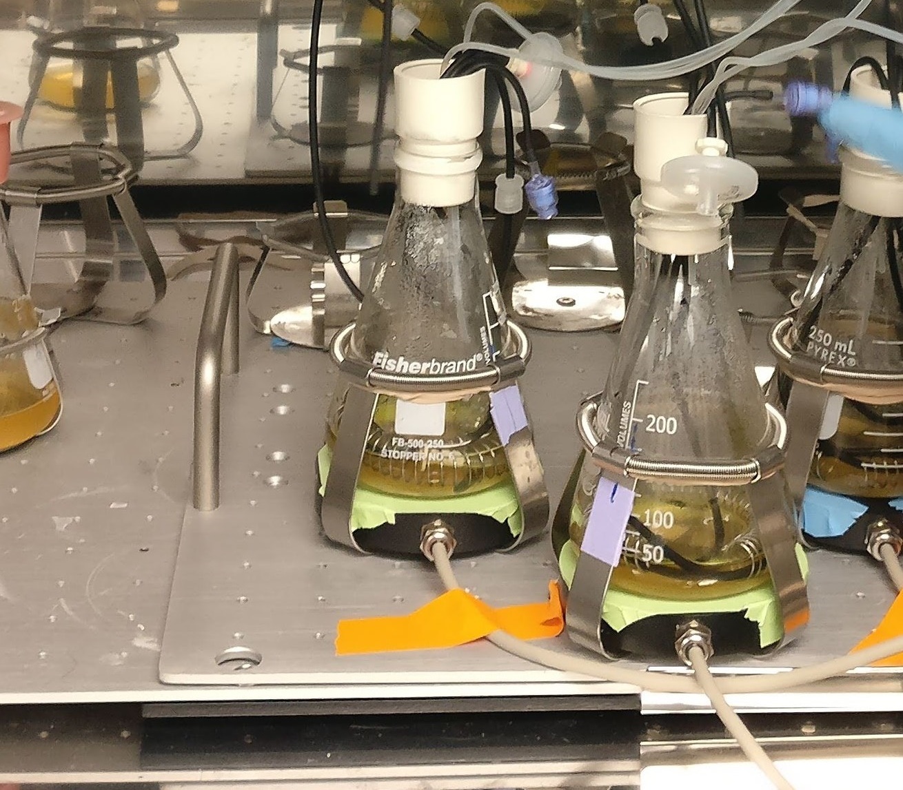 Chemical, Biochemical and Environmental Engineering - UMBC