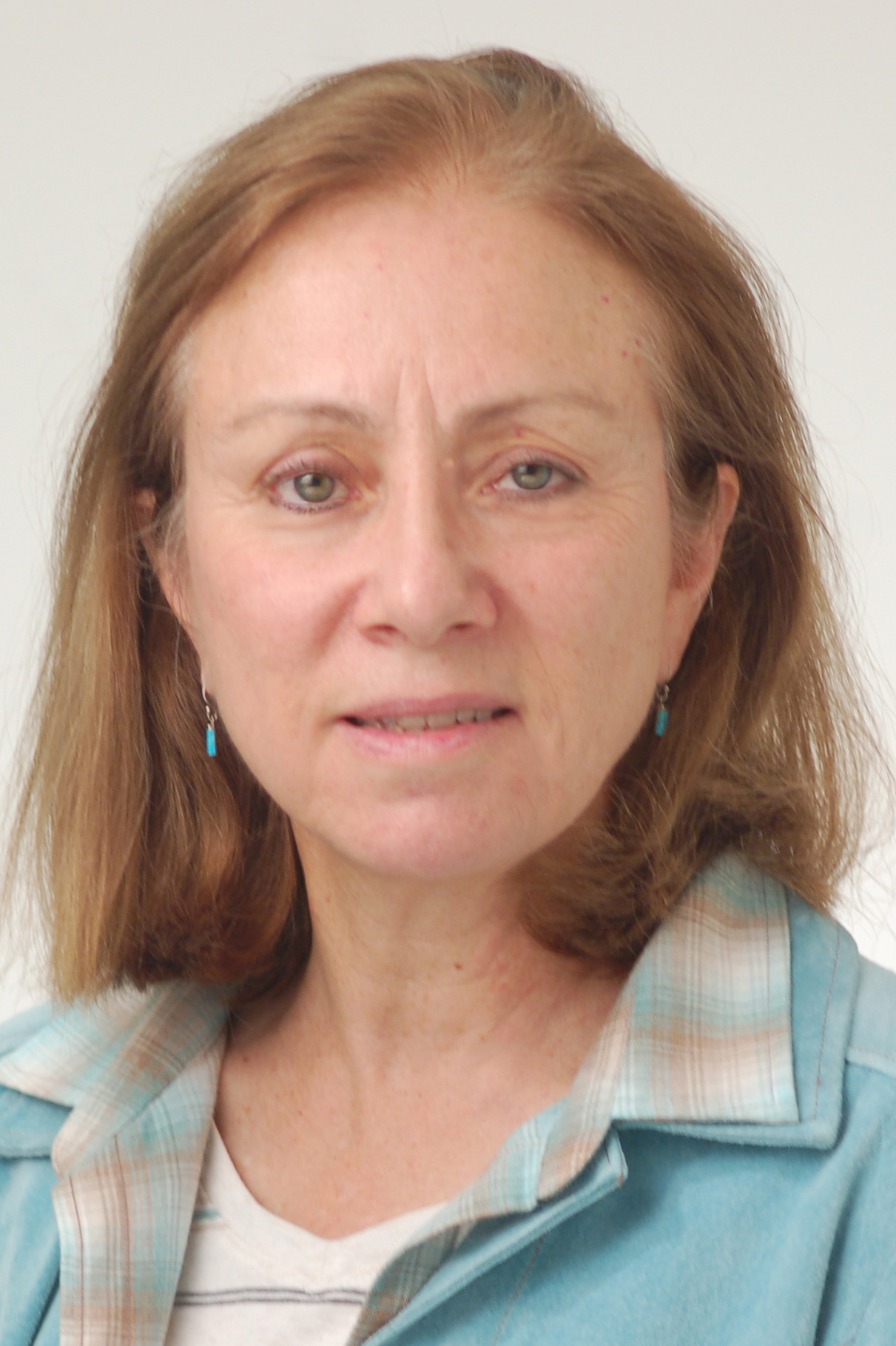 Faculty – Department of Chemical, Biochemical and Environmental ...