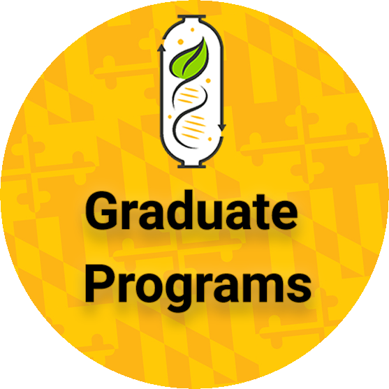 Department of Chemical, Biochemical and Environmental Engineering – UMBC