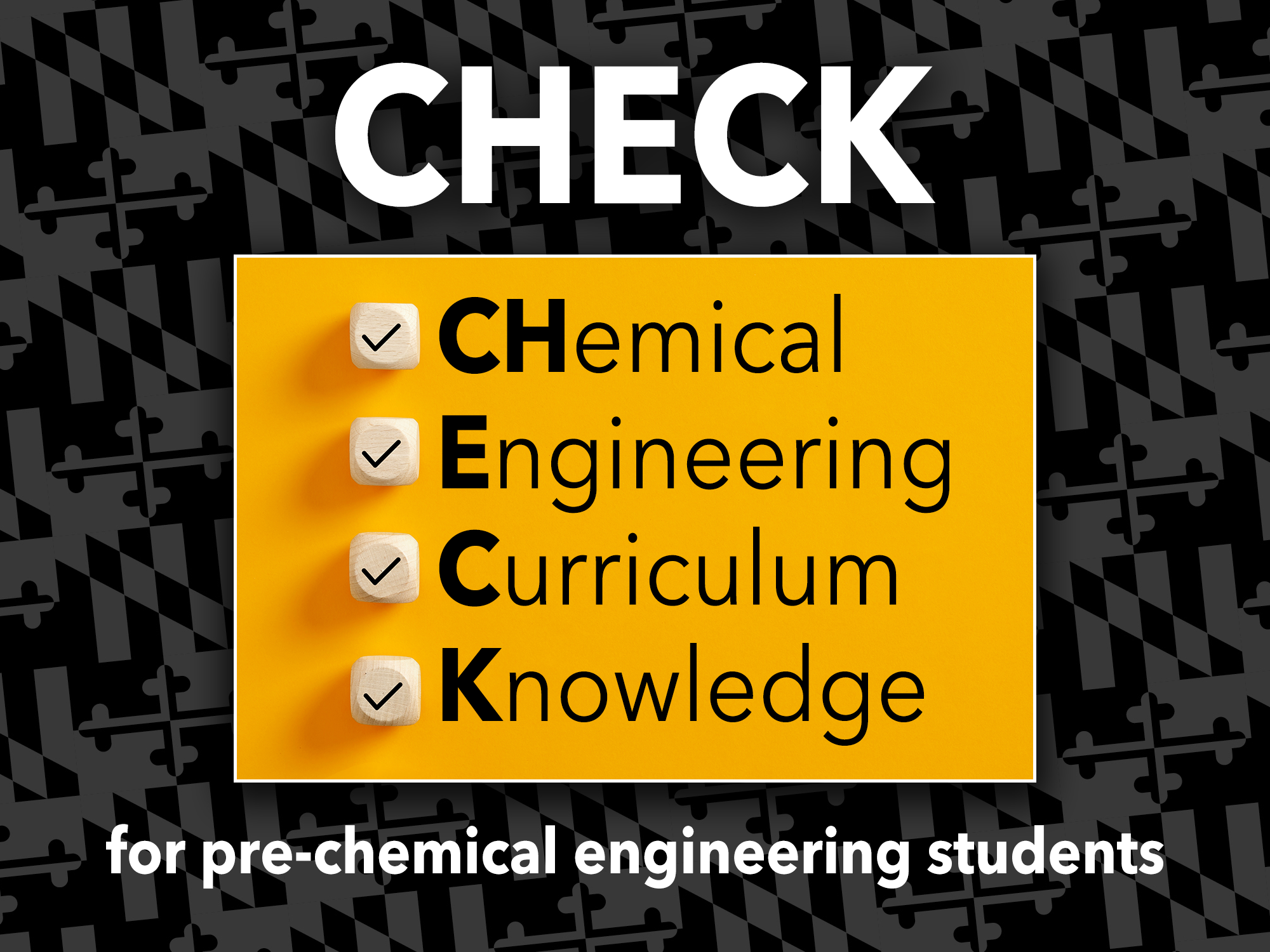 CHECK – CHemical Engineering Curriculum Knowledge – Department of ...